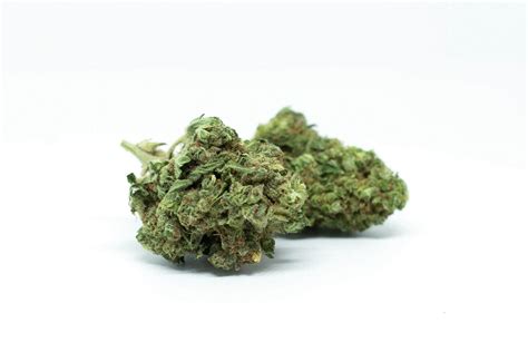 Best Weed Strains For Couples Enhancing Intimacy And Bonding