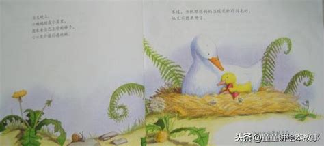 有聲繪本故事小鴨鴨上學去 每日頭條