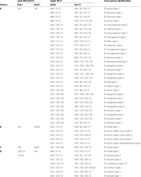 A Species Identification Algorithm By Combining Rpob Duplex Pcr And