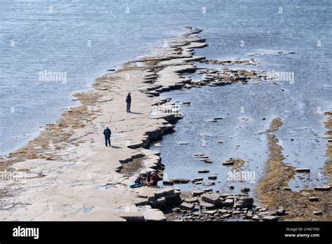 The Unusual Rock Formations On The Beach At Kimmeridge Bay On The Jurassic Coast In Dorset