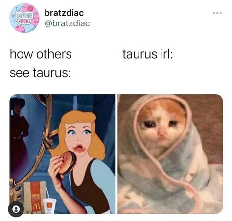 Pin By Aleyna Gürses On Taurus Taurus Zodiac Facts Taurus Zodiac