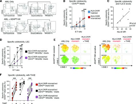 Adapt Nk Cells Show Potent And Specific Alloreactivity Against