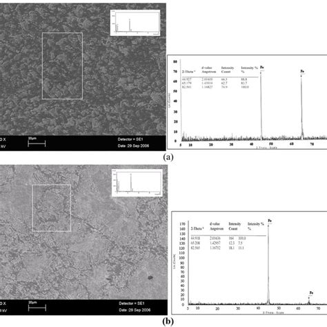 Sem Photography X500 Edx Analysis X Rays Diffraction Of A Untreated