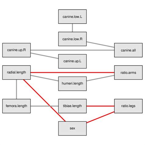Model Cluster Network The Depicted Cluster Network With Three