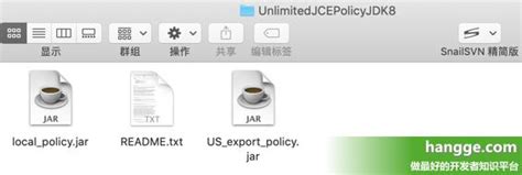 分布式配置中心spring Cloud Config使用详解11（加密解密）