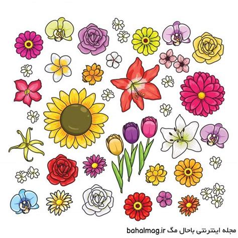 عکس گل کارتونی ️ [ بهترین تصاویر ]