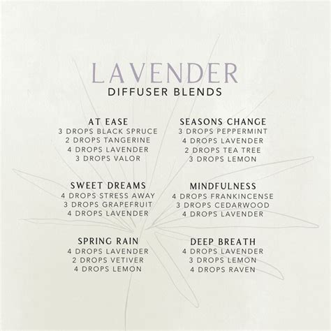 Diffuser Blends With Lavender Diffuser Blends Lavender Diffuser Essential Oil Diffuser Blends