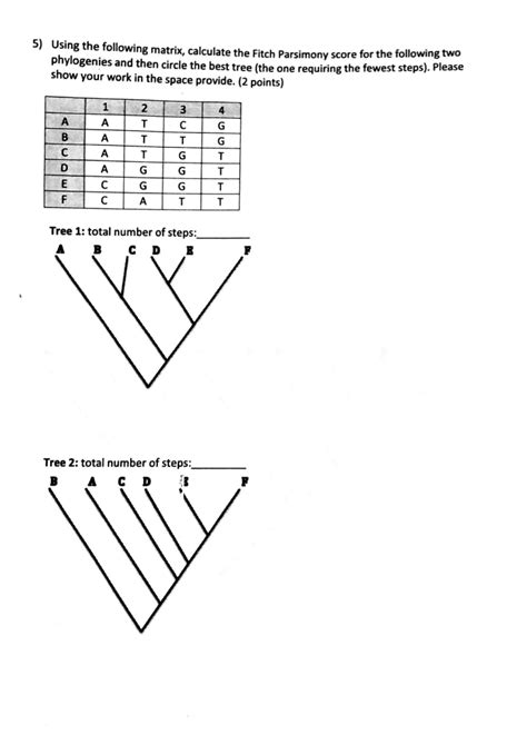 Solved 5 Using The Following Matrix Calculate The Fitch