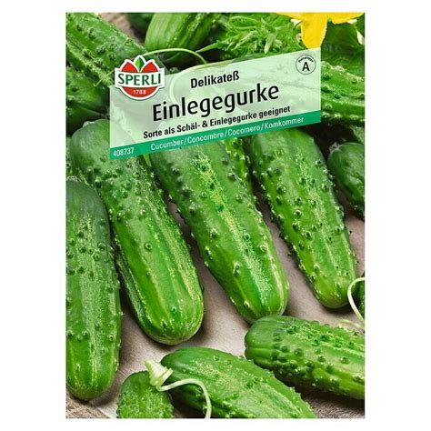Sperli Gemüsesamen Einlegegurke Delikateß Cucumis sativus Erntezeit