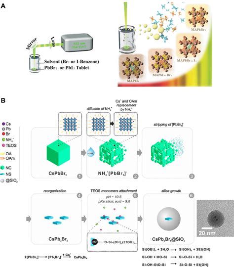A Schematic Description Of The Laser Ablation Synthesis Setup For The Download Scientific