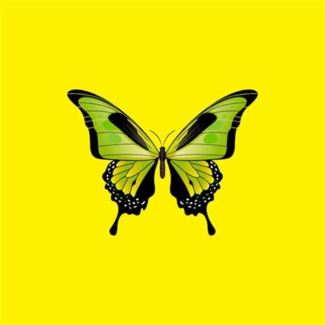 Mariposa Aislada Sobre Fondo Amarillo Vector Premium