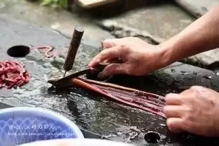 太阳底下杀黄鳝男子在绍兴被抓走一脸懵逼