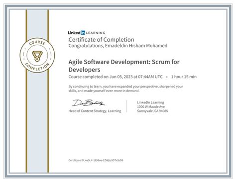 Emadeldin Hisham Mohamed On Linkedin Certificate Of Completion