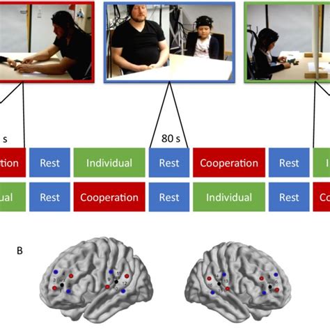 illustration of interpersonal neural synchronization ins y axis in
