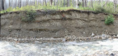Alluvium And Soil Profiles