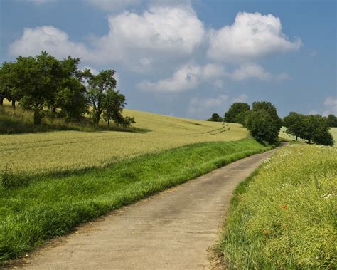 Green Belt Designation Hawkes Architecture