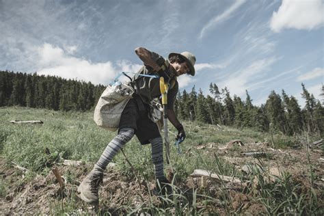 The Benefits Of Planting Trees In Canada THE ENVIRONMENTOR