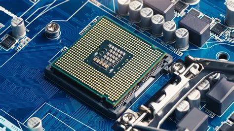 Computer Hardware Processing Devices At Quyen Elliott Blog