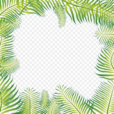 檳榔熱帶樹葉框架 熱帶樹葉 葉框 自然界向量圖案素材免費下載PNGEPS和AI素材下載 Pngtree