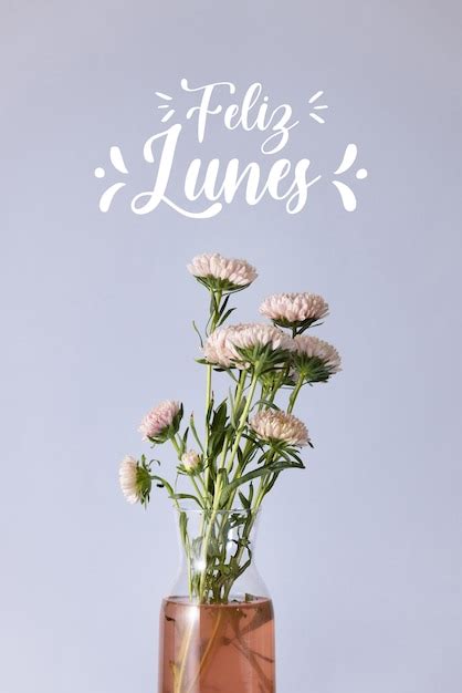 Feliz Segunda Feira Com Flores Em Vaso Foto Grátis
