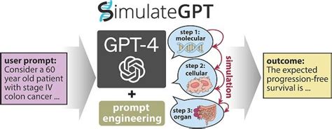 A Study Demonstrates The Potential Of ChatGPT For Biomedical Simulations