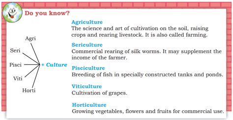 Chapter 3 Agriculture Notes Class 8 NCERT Geography Sirji Tutorials