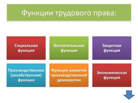 Понятие предмет метод источники принципы функции трудового права
