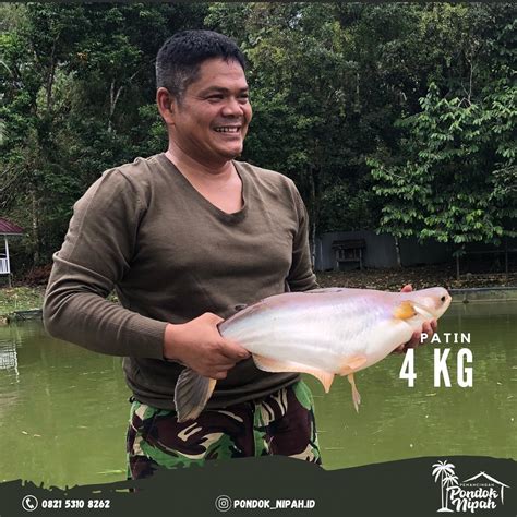 Pondok Nipah Pondoknipahid • Instagram Photos And Videos