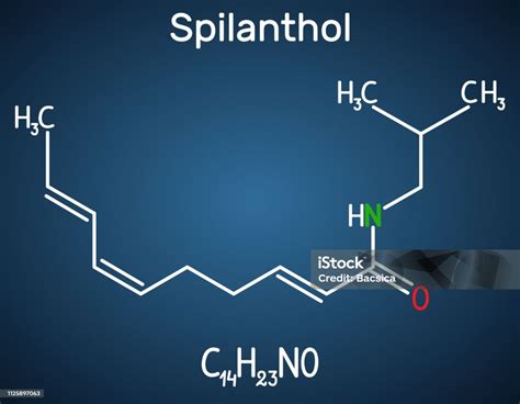 Spilanthol의 분자 지방산 아 미드 로컬 마 취 속성 및 미용에 사용 됩니다 진한 파란색 배경에 구조 화학 공식 건강
