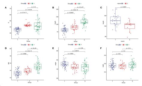 Comparison Of Ascending Aortic Morphology A Ascending Aorta
