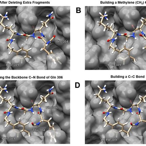 Building The Cyclic Peptide A The Structure Of The Substrate After