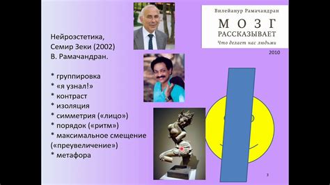 Дубынин В. А. - Мозг: как он устроен и работает - Лекция 9 - YouTube