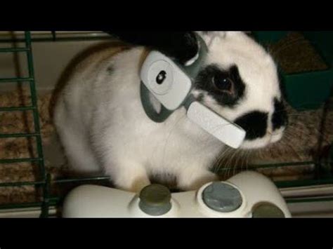 Papeadas Cabronas Youtube