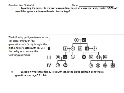 Solved Please Help The Following Pedigree Traces Sickle Cell Disease