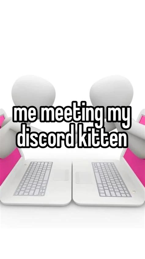 Me Meeting Discord Kitten Irl Whisper Funny Discord Discord Chat