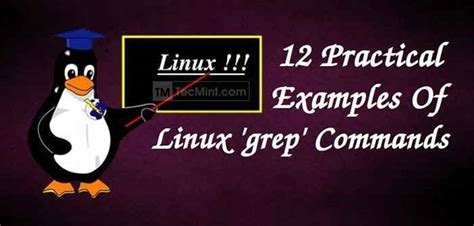 12 Exemples Pratiques De La Commande Grep Linux Ilinuxgeek
