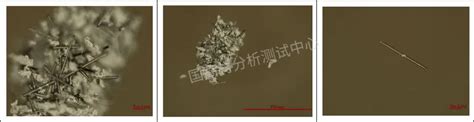技术研究｜一种新型的导热硅脂成分分析 技术邻