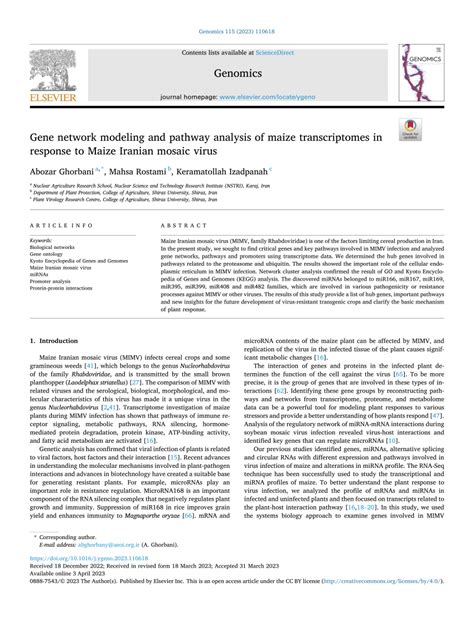 Pdf Gene Network Modeling And Pathway Analysis Of Maize Transcriptomes In Response To Maize