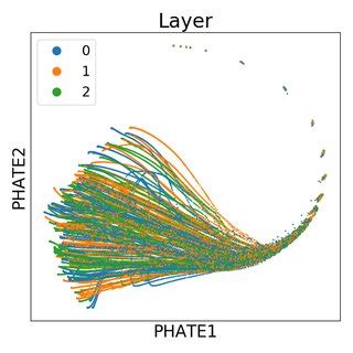 Visualization Of A Layer MLP Trained On Split MNIST For Five Task Download Scientific Diagram