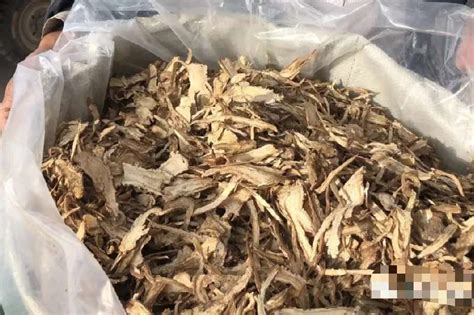 甘肃省定西市岷县当归饮片价格稳定 中药材产业信息门户网站