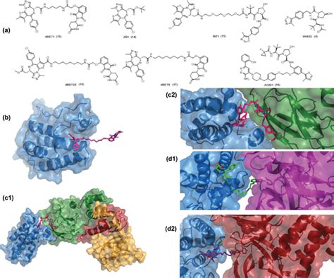 A Structures Of Dbet1 Protac 13 Jq1 14 Bet Inhibitor Mz1