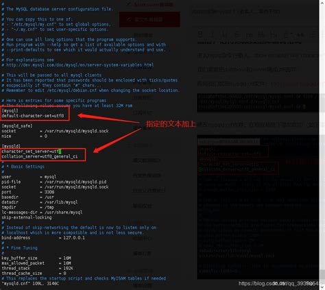Ubuntu Mysql