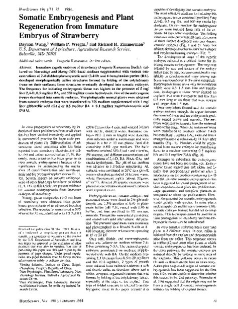 Pdf Somatic Embryogenesis And Plant Regeneration From Immature