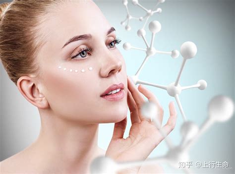 人为什么会衰老？衰老的本质是什么？ 知乎