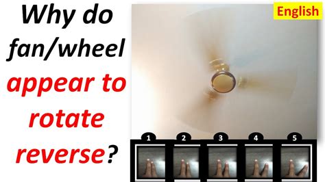 Ceiling Fan Rotating Opposite Direction Shelly Lighting