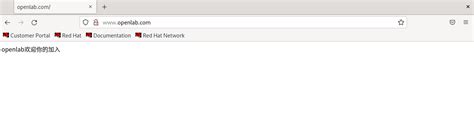 Linux Csdn