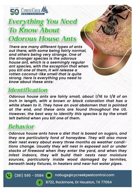 Ppt Commercial Pest Control Houston Termite Inspection Houston
