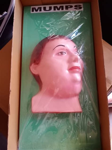 Gmssco Multicolor Forensic Models At Rs 2000 Piece In Ambala Id