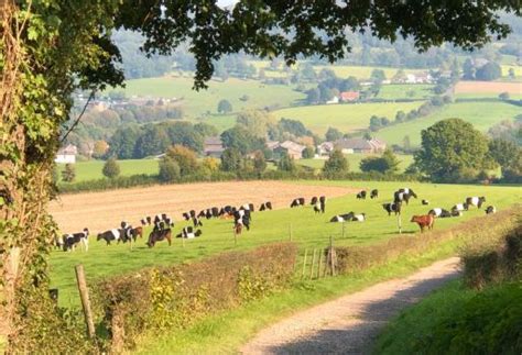 A Pieces Jigsaw Puzzle From Jigidi Jigsaw Puzzles Limburg Piecings