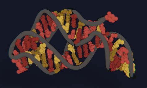 With New Funding Atomic Ai Envisions Rna As The Next Frontier In Drug